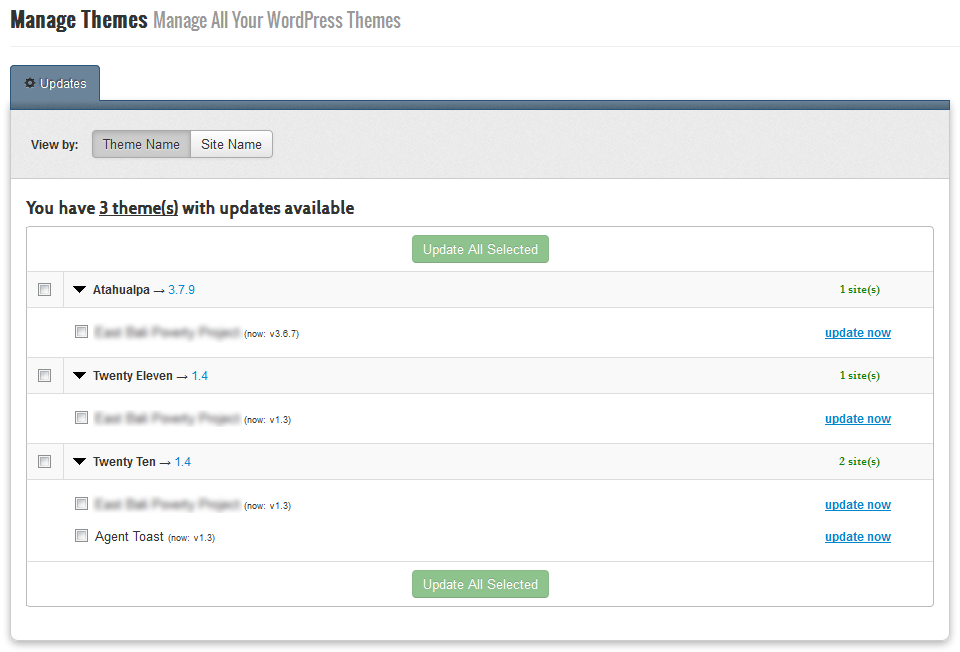Icontrolwp Key Feature Wordpress Themes Management Sort By Theme Name Icontrolwp
