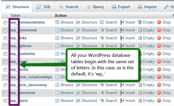 WordPress Database Prefix - iControlWP